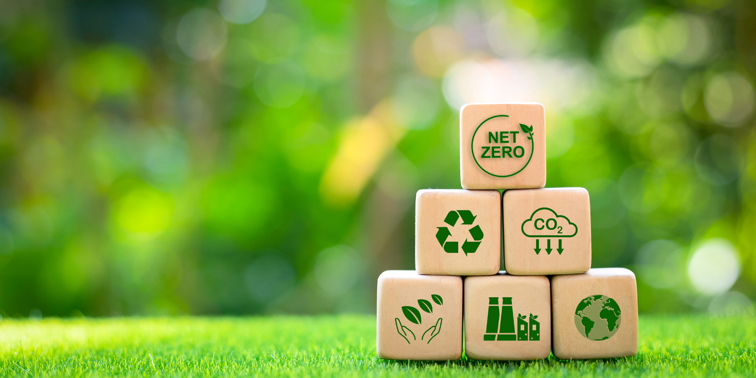 From Energy Audit to Decarbonisation Roadmap: An Industrial Example ...